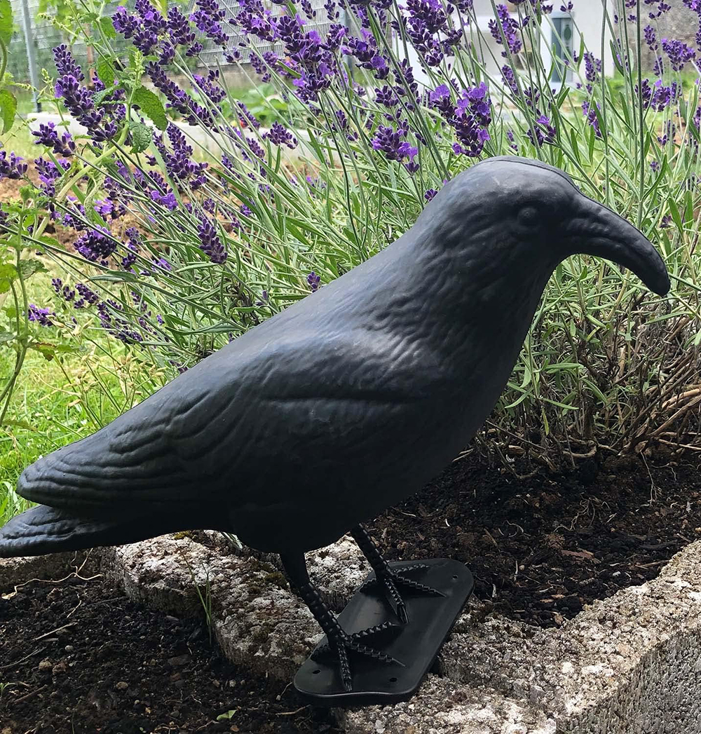Pigeon Scare Crow - JB Saeed Home & Hardware